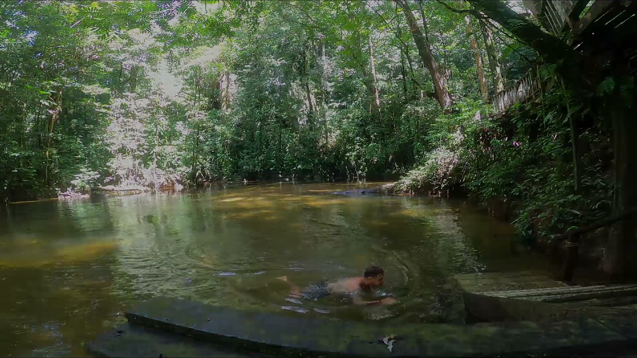 The Best Jungle Pool in Sarawak // Mulu National Park - YouTube