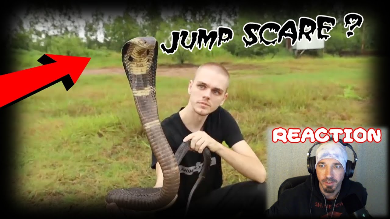 MAD COBRA 🐍(Will Scare You!!) *REACTION* - YouTube