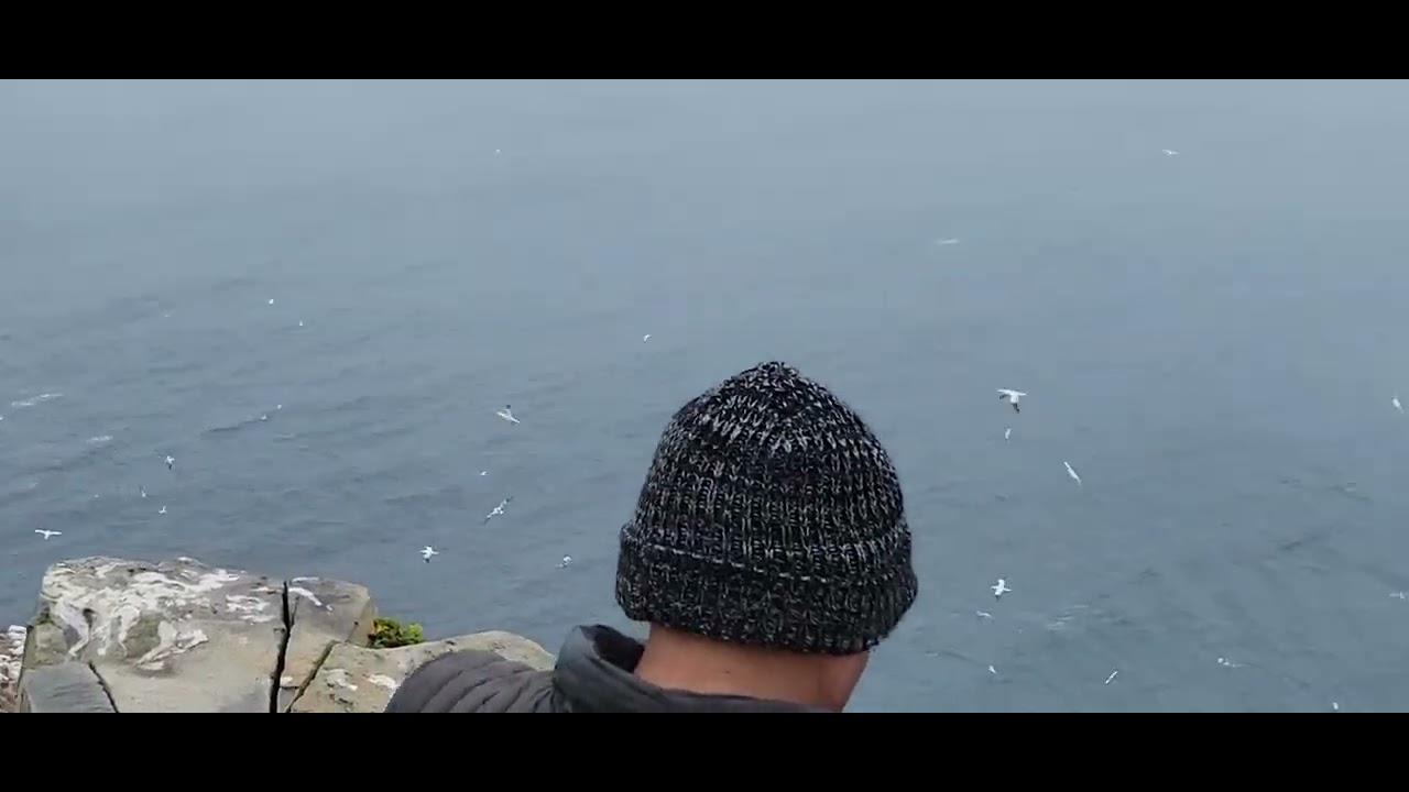 "Birds Rock" Cape St. Mary’s Ecological Reserve Newfoundland 🪿🐧 Clip 1 ...