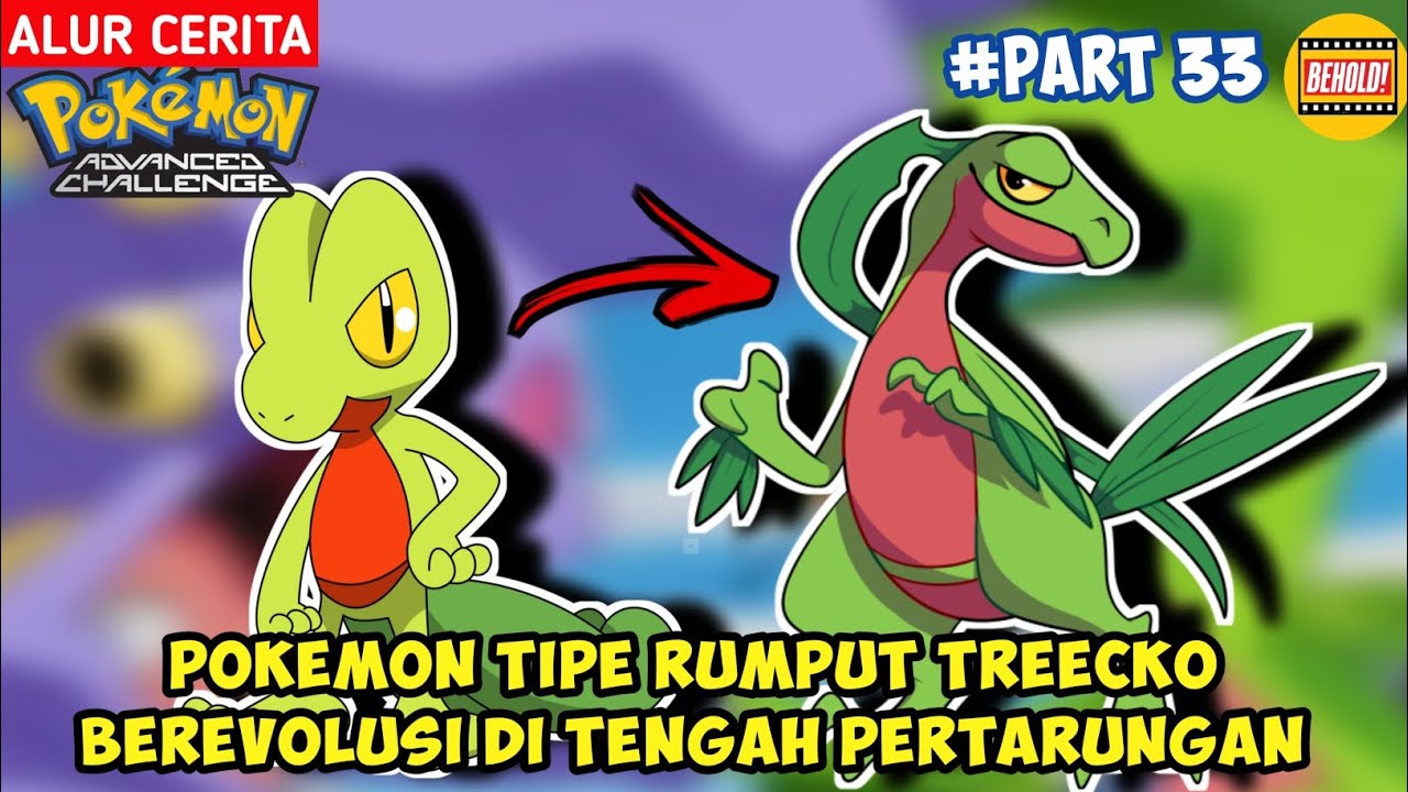Pokemon Treecko Akhirnya Berevolusi Menjadi Grovyle - Alur Cerita ...