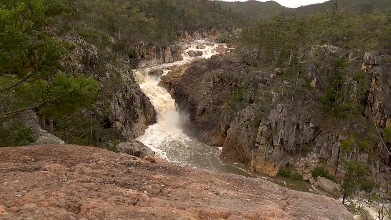 Running River Rainbowfish Conservation Project by Canberra University ...