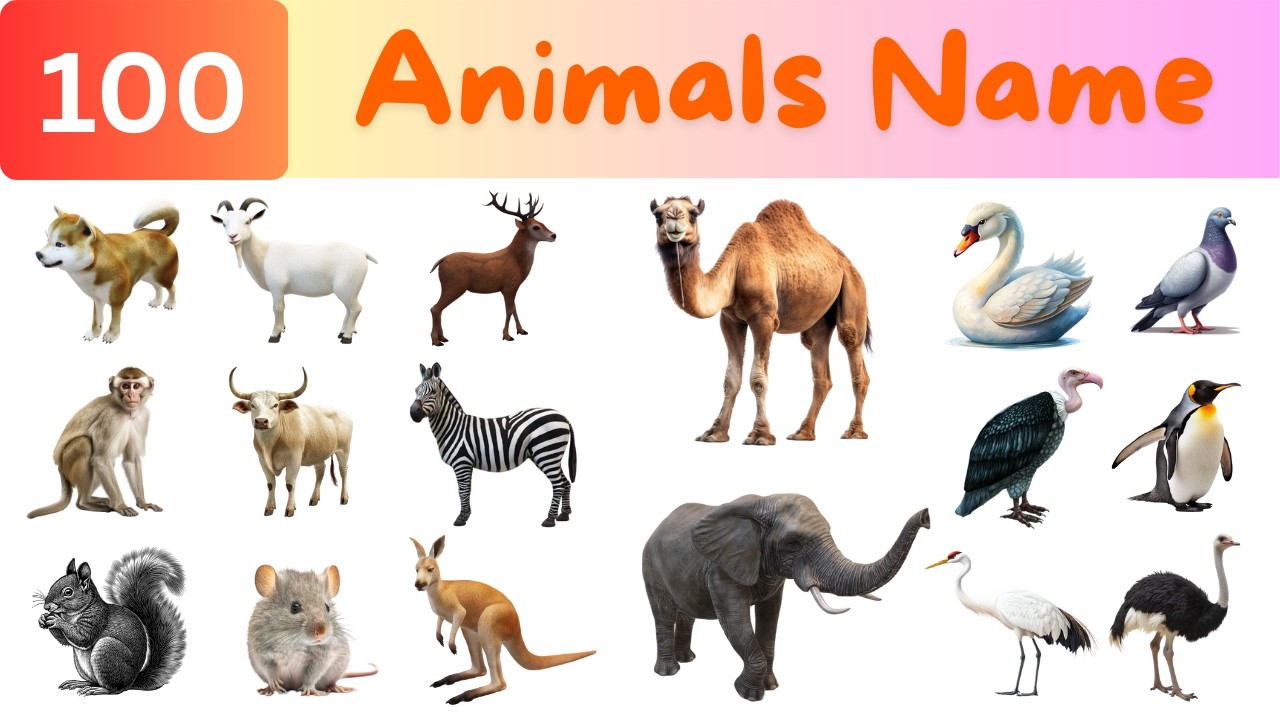 100 Animals Name in English for Kids & Adults | Picture Vocabulary ...