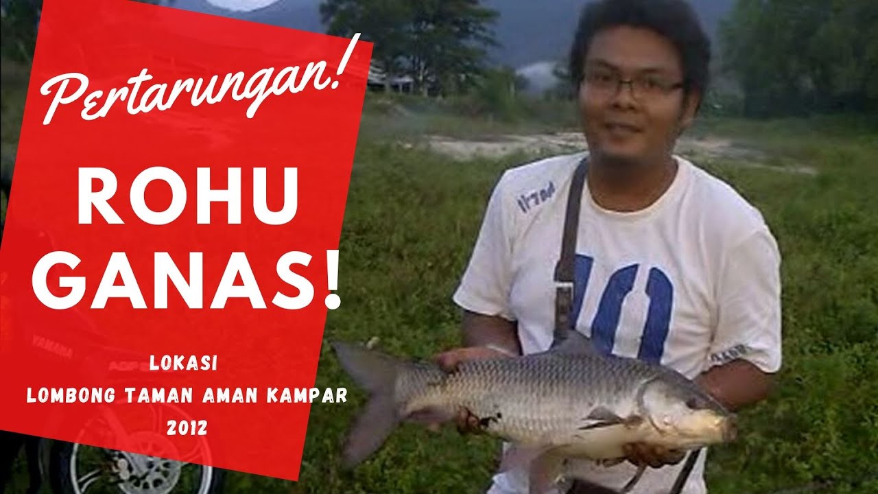 MEMANCING IKAN ROHU/ARA DI TAMAN AMAN KAMPAR 2012 - YouTube
