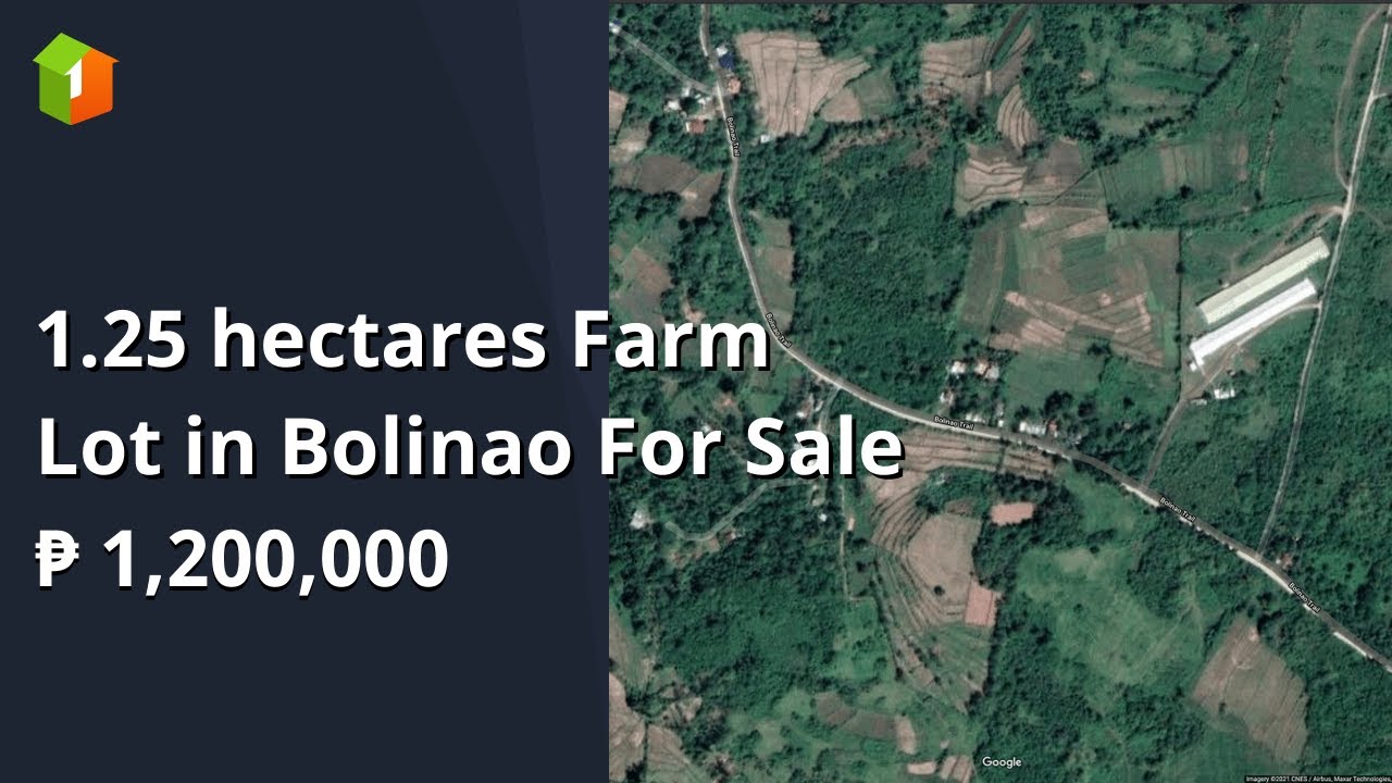 1.25 hectares Farm Lot in Bolinao For Sale - YouTube