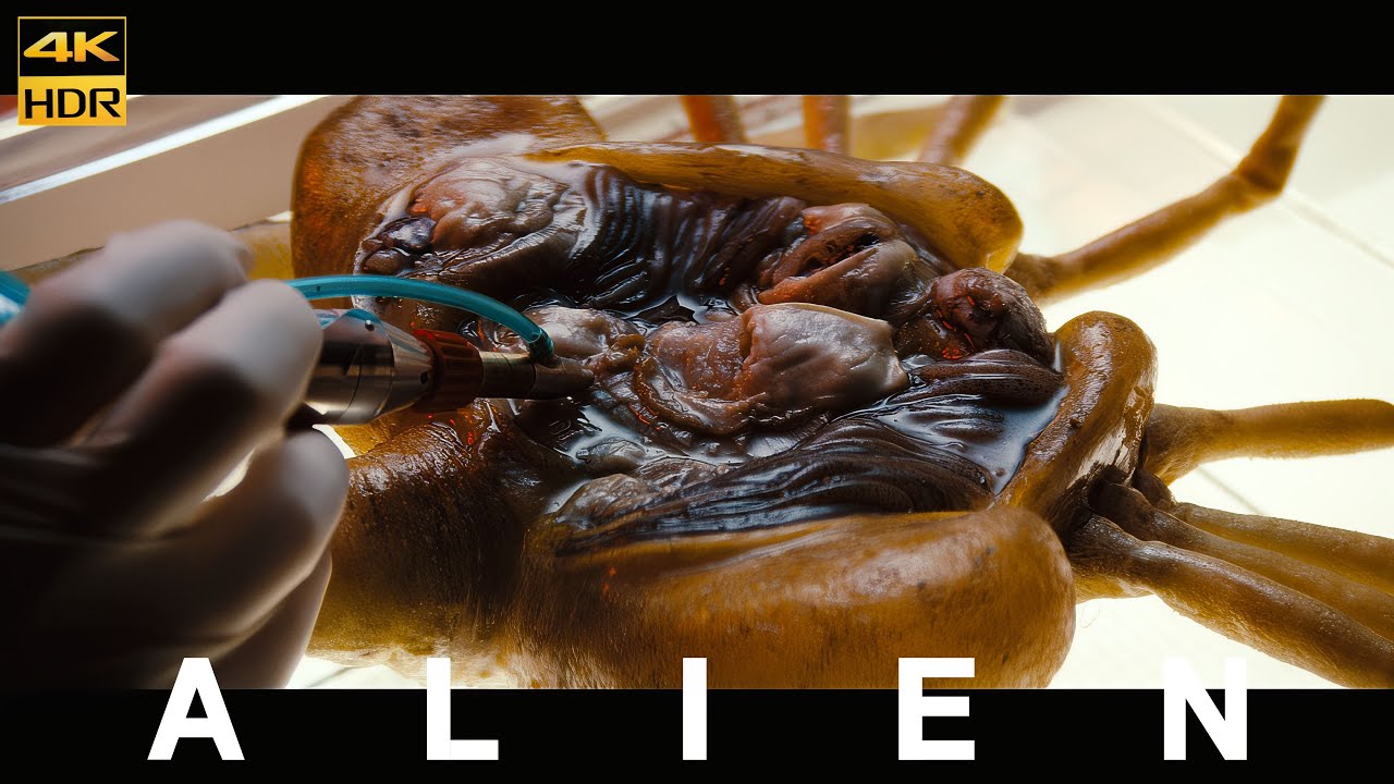 Alien (1979) | I don't trust anybody Movie Clip 4K HDR10 Remaster Dolby ...