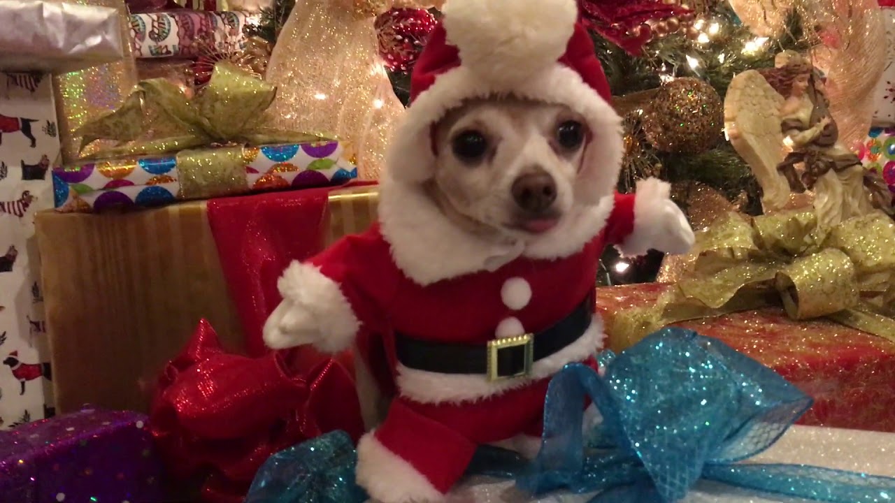 King Leon Wishes All a Merry Christmas and a Happy New Year! - YouTube
