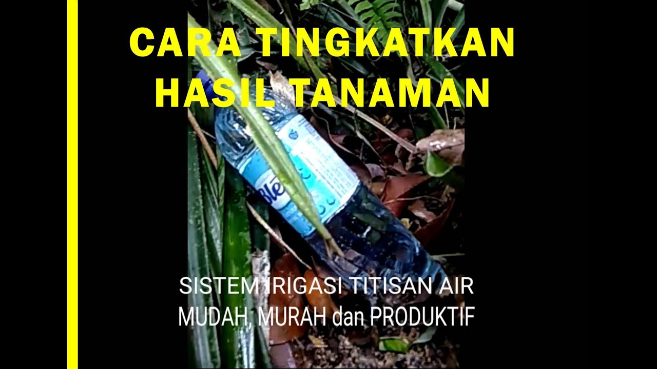 Cara Jimatkan Air dengan 'SISTEM IRIGASI TITISAN AIR' # 1 - YouTube