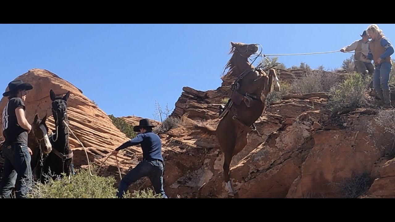 Video 2 - Breaking colts and blazing trail! - YouTube