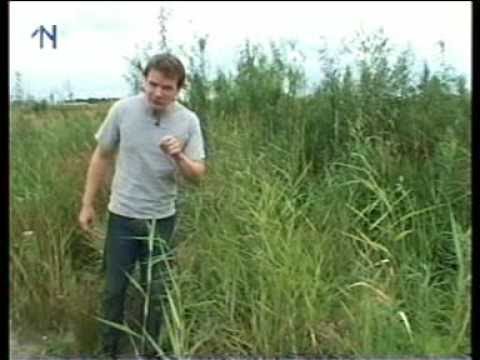 Adamsappel.mpg - YouTube