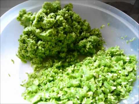 The Great Green Bean Experiment - YouTube