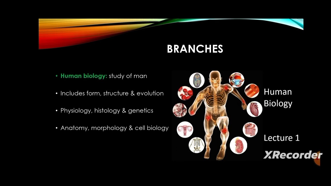 Biology part 1|Branches of Biology |Chapter No 1|Lecture No 2| - YouTube