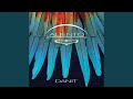 Danit – Aliento (2017, CD) - Discogs