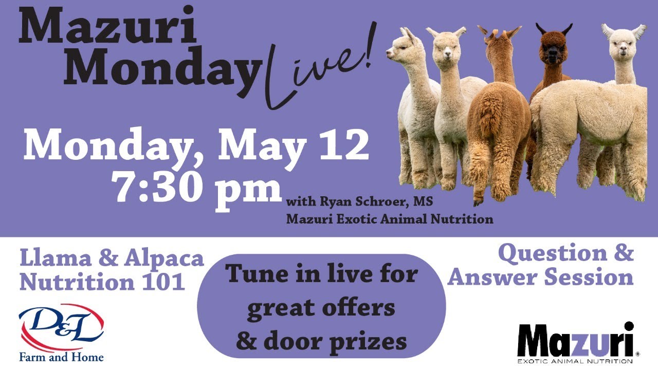 Mazuri Monday Live: Llama & Alpaca Nutrition 101 - YouTube
