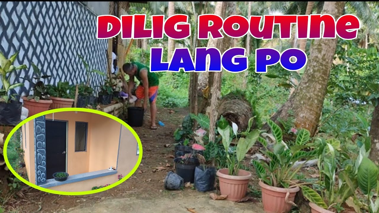 DILIG ROUTINE LANG PO VSM FARM/ VAL SANTOS MATUBANG/ KALINGAP RAB/ ATE ...