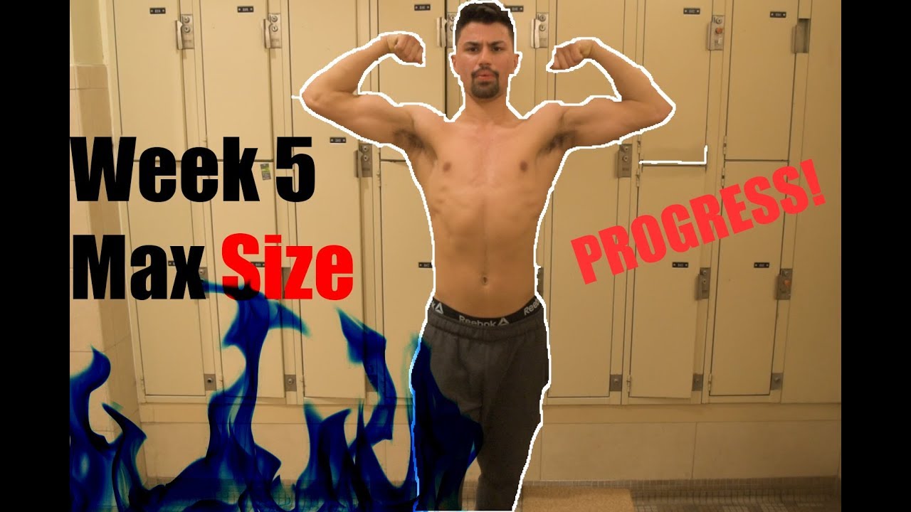 Week 5 Max Size Program Progress - YouTube