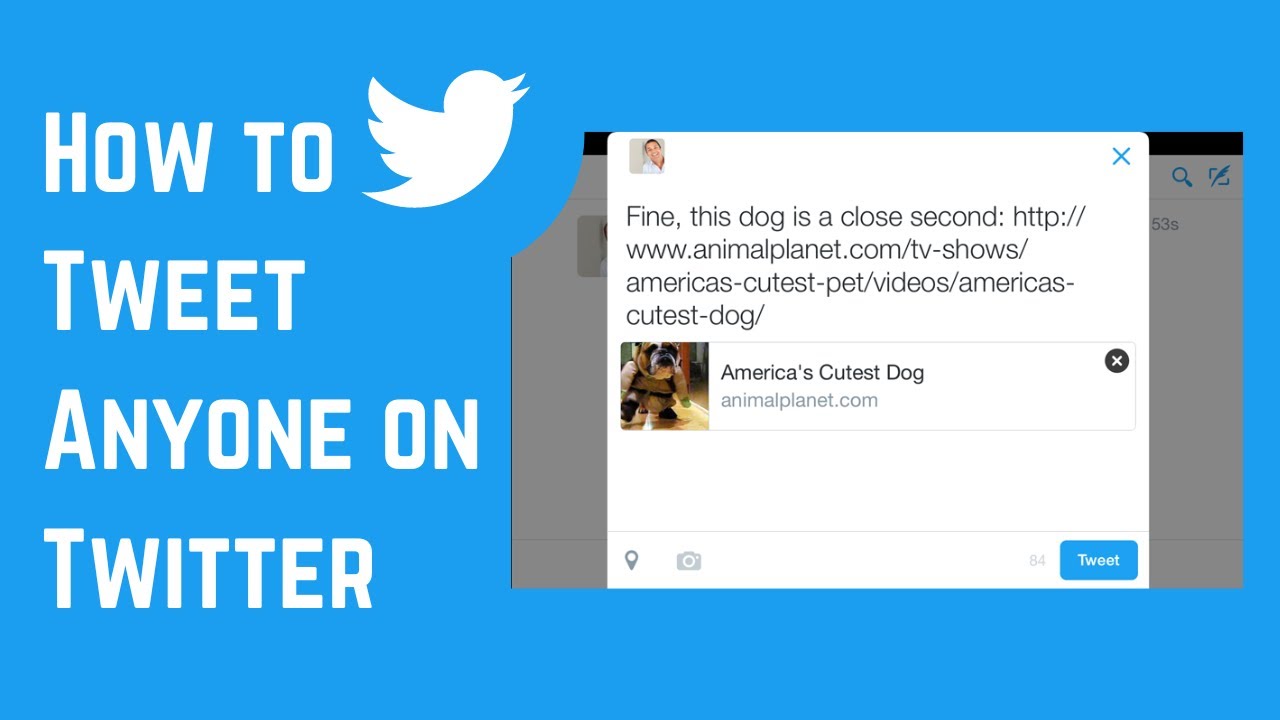 How to Tweet Anyone on Twitter - YouTube