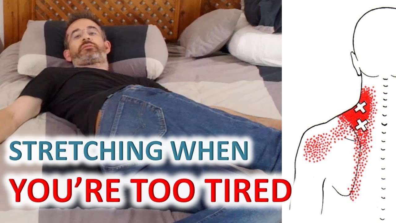 Evening Workouts For Lazy People | Daily Stretching Routine for ...
