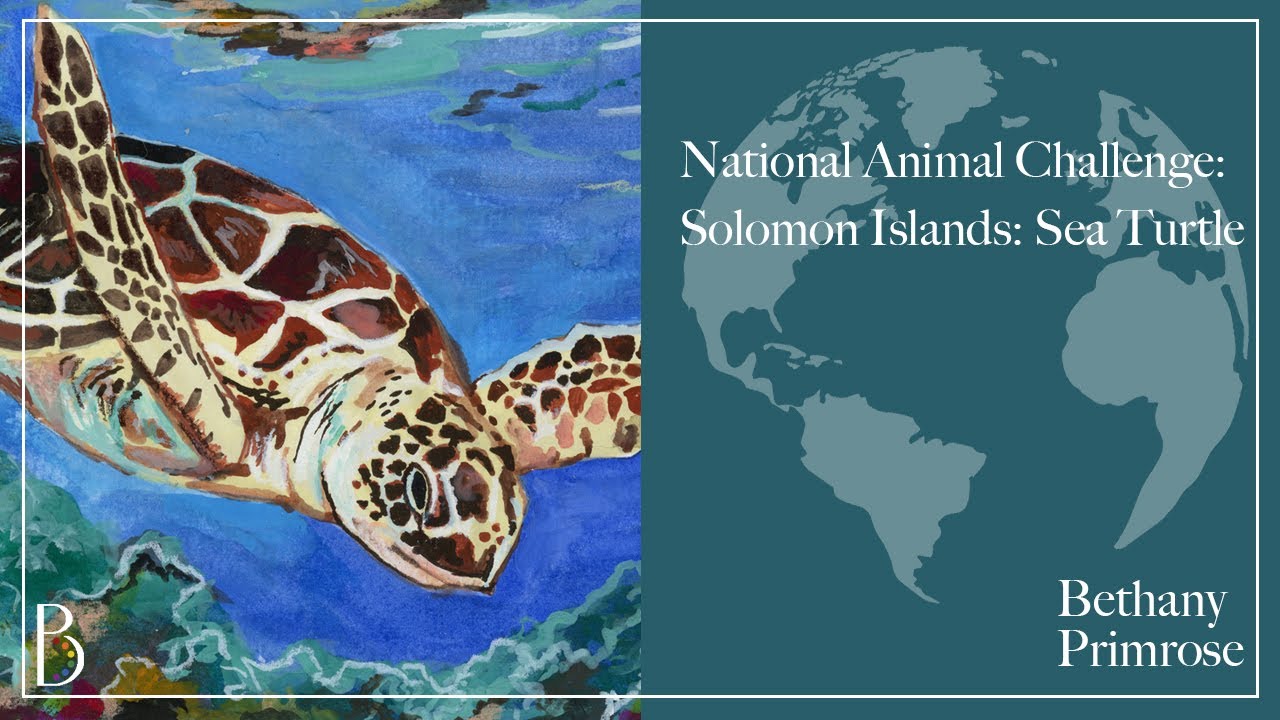 Scott Sava's National Animal Challenge -Solomon Islands' Sea Turtle ...
