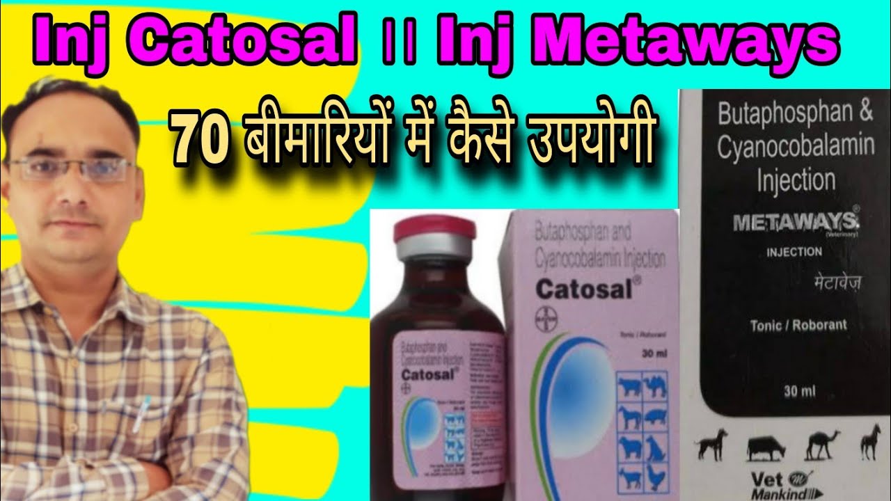 Inj Catosal ।। Butaphosphan Cynocabalamin Injection - YouTube