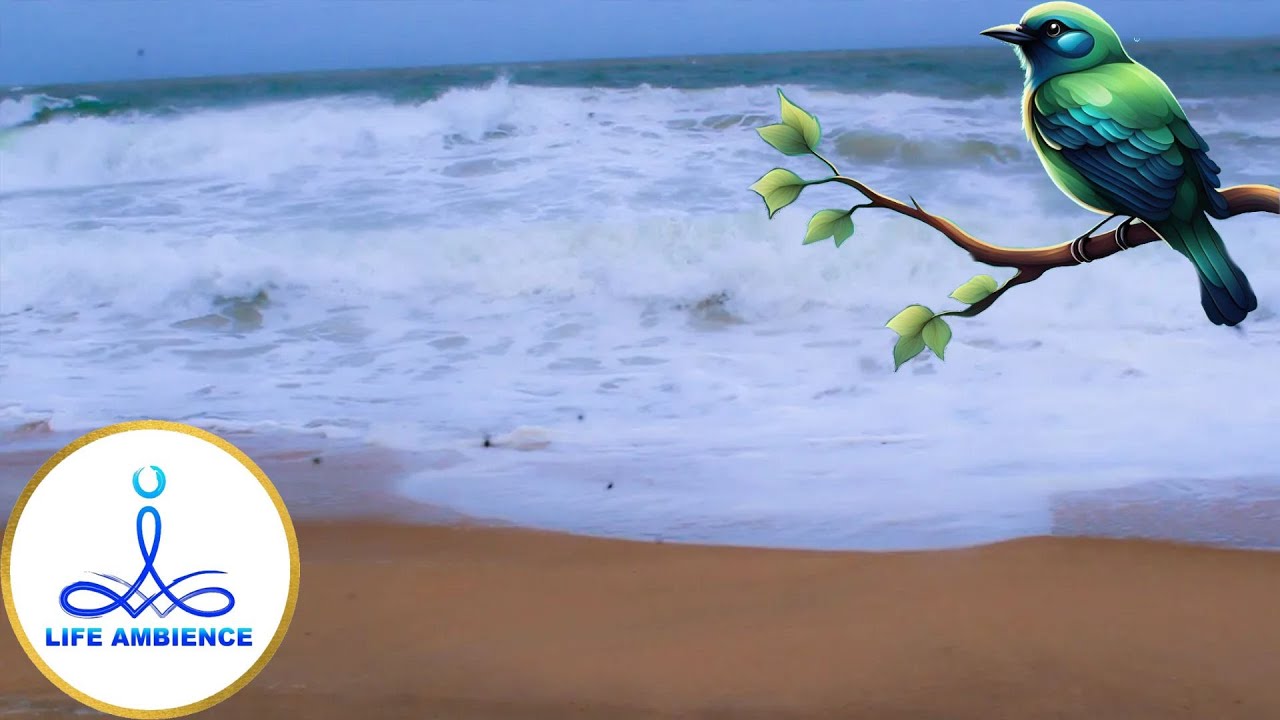 Rough Ocean Waves Sounds: Mesmerizing Relaxing Sounds of the Sea | 3 ...