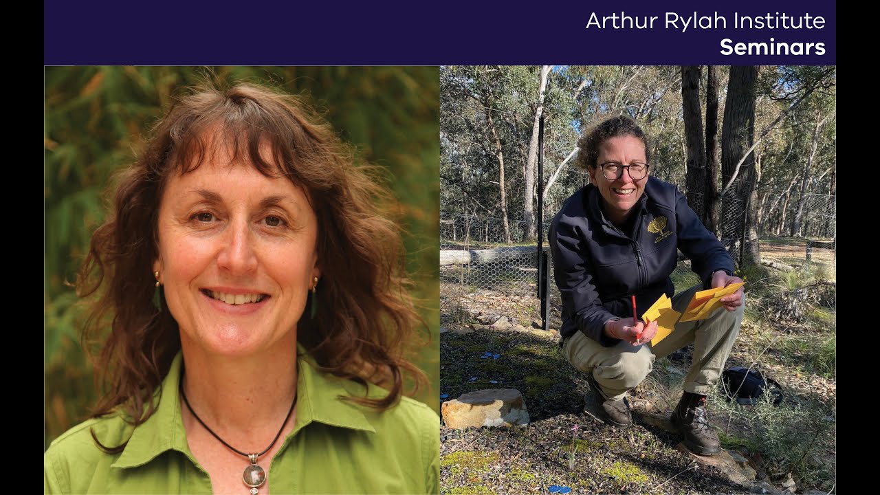 ARI Seminar | Saving our iconic Banksias | Annette Muir (ARI) & Laura ...