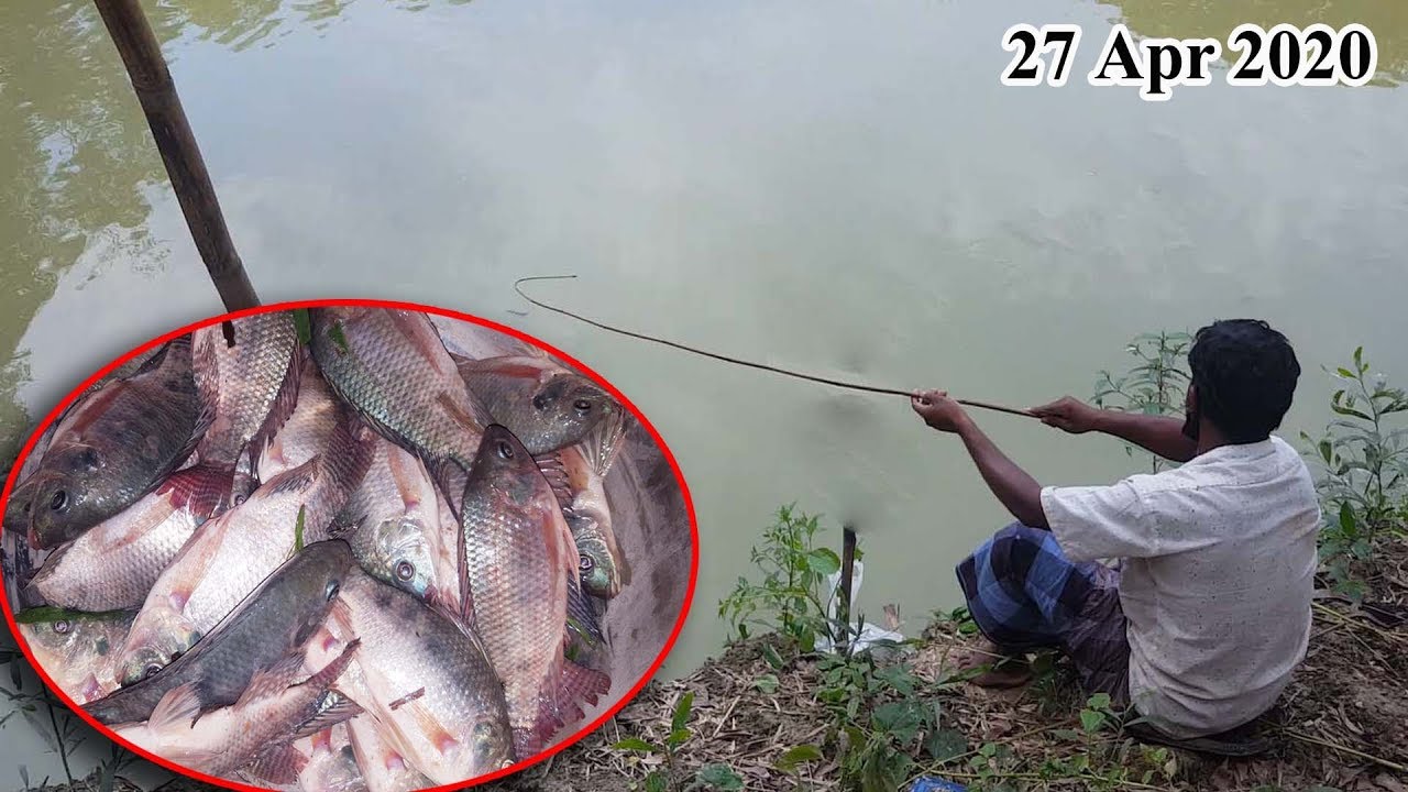 new fishing video 27 April 2020 || fish hunting 2020 || new fishing ...