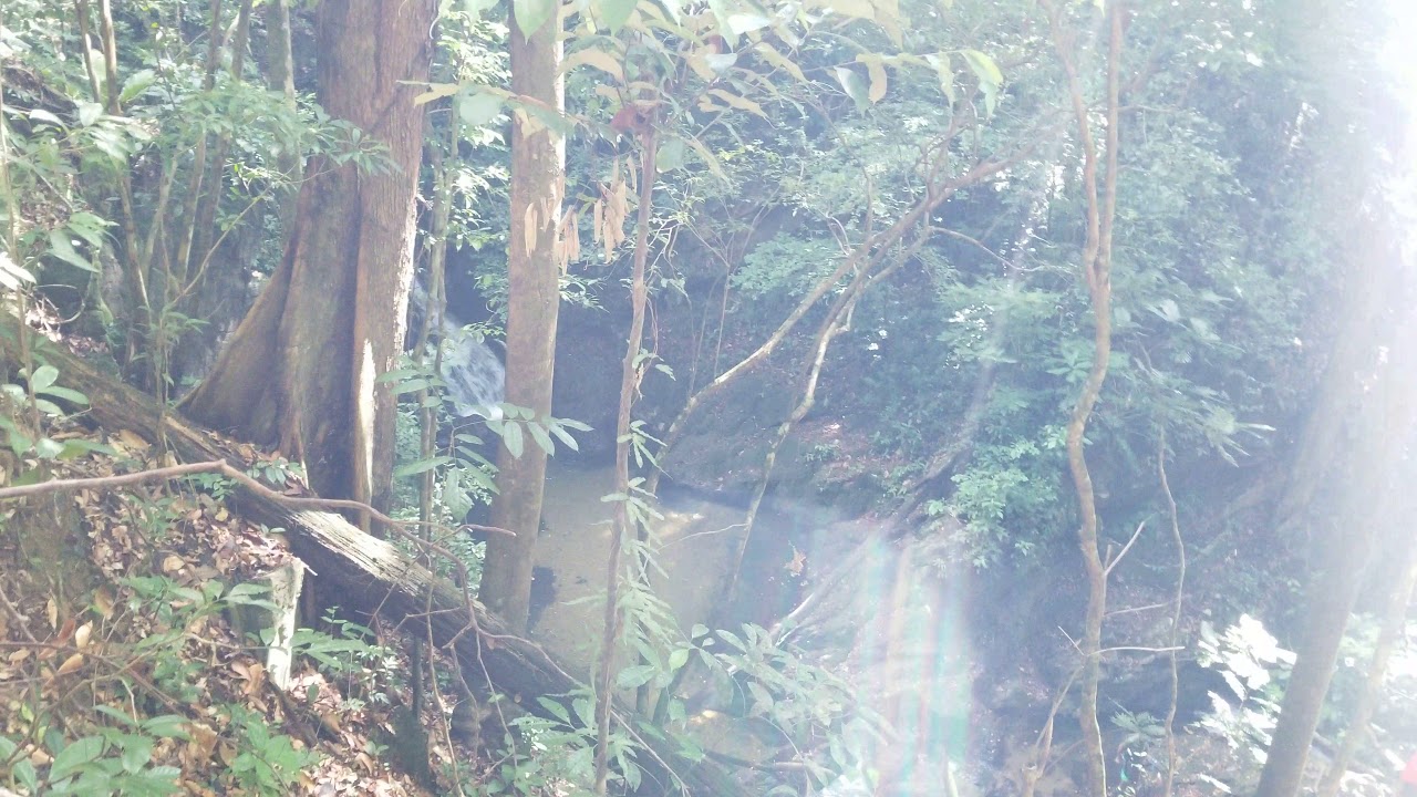 Rampanalgas Water Fall/Trinidad & Tobago - YouTube