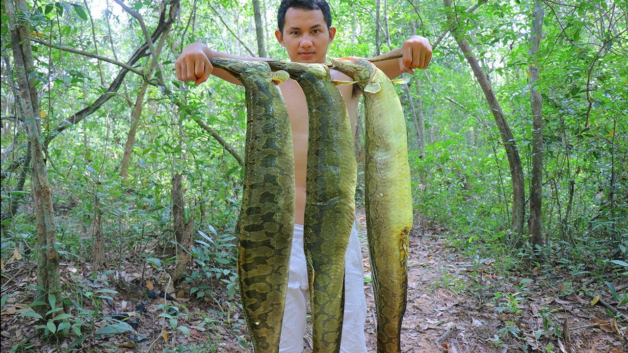 Amazing Big Spiny Eel Cooking Recipe in Forest - YouTube