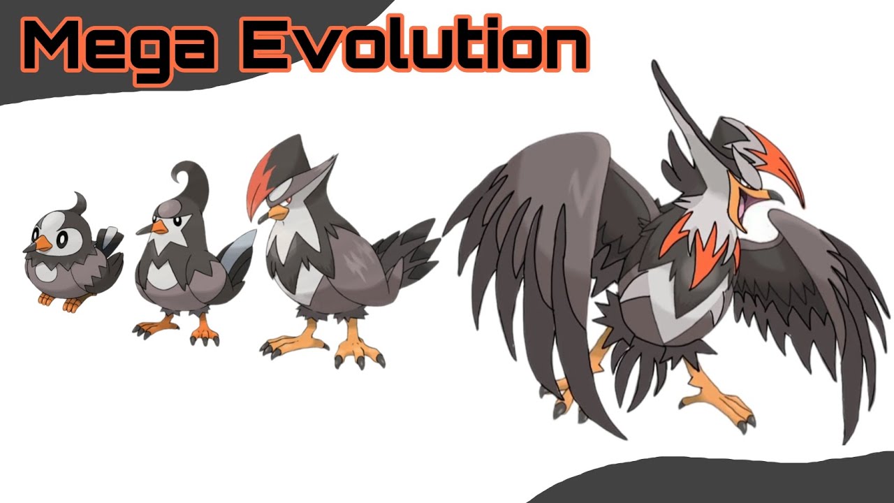 Pokemon World all Bird Pokemon Mega Evolution drawing : Flying type ...