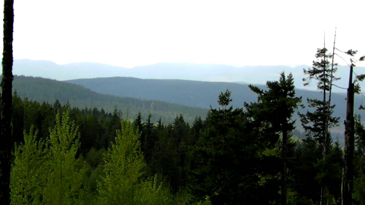 Bigfoot sighting area,Mt sicker Vancouver Island British Columbia ...