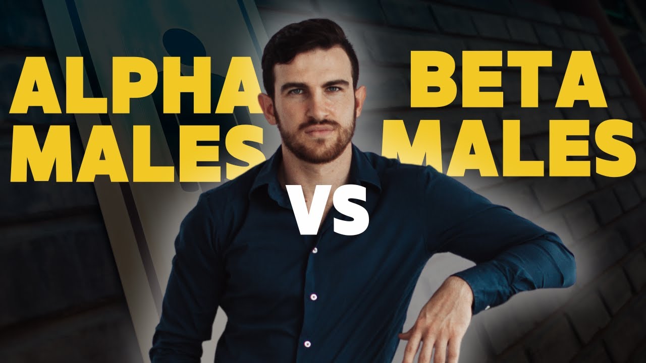 #255 - Alpha Males Vs Beta Males... - YouTube