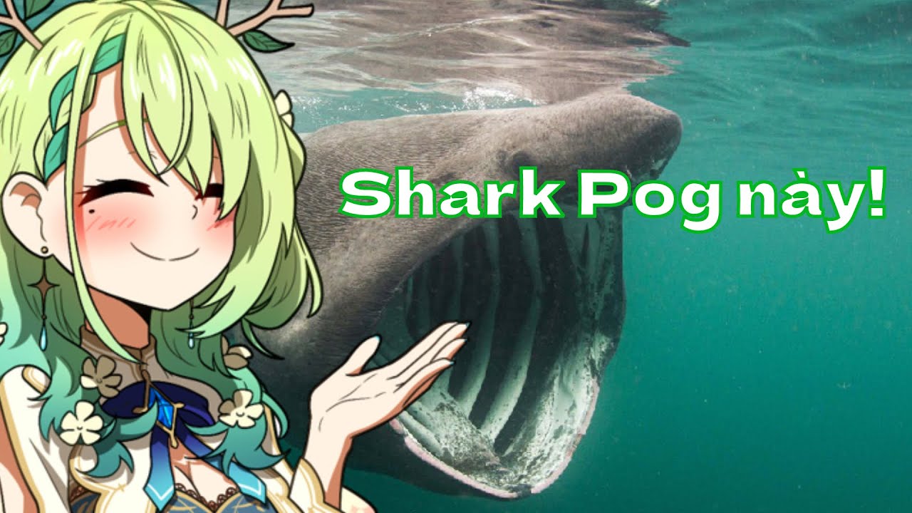 Fauna tìm thấy Shark Pog real!!!【Hololive Vietsub】 - YouTube