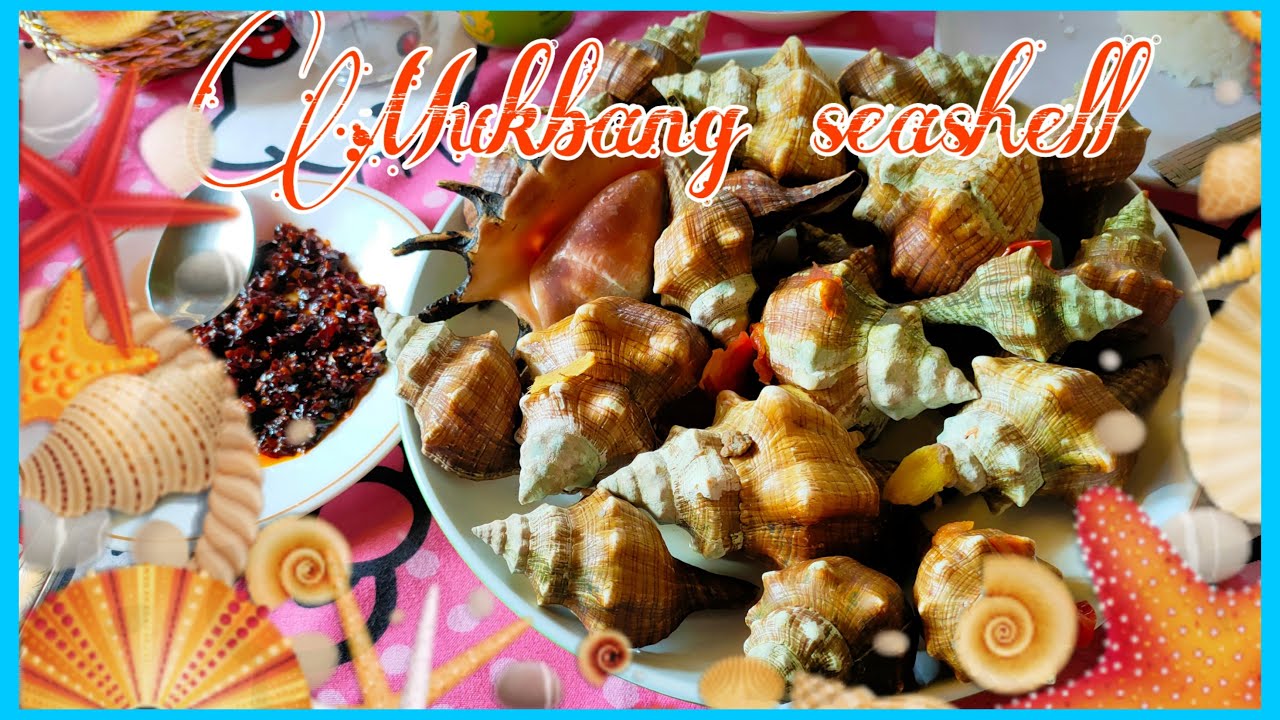 Sea shell Mukbang - YouTube