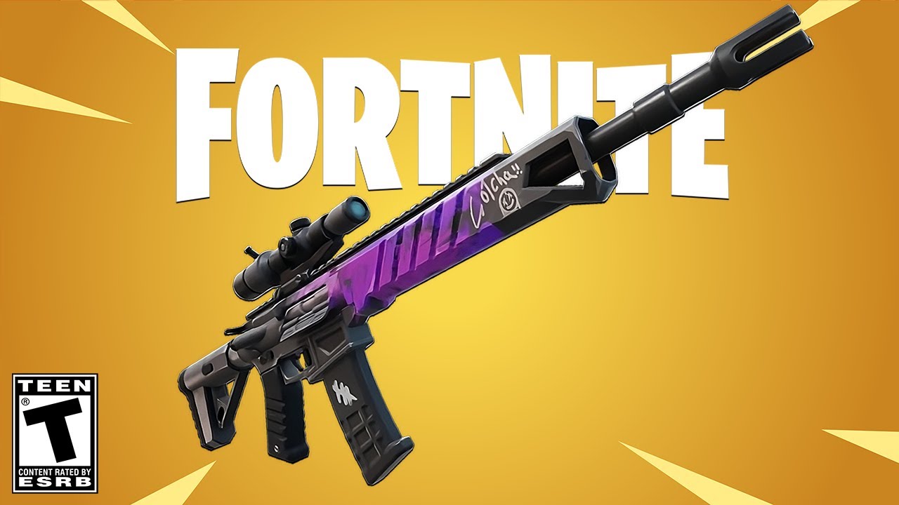 New *ZOOM DMR* is CRAZY in FORTNITE! - YouTube