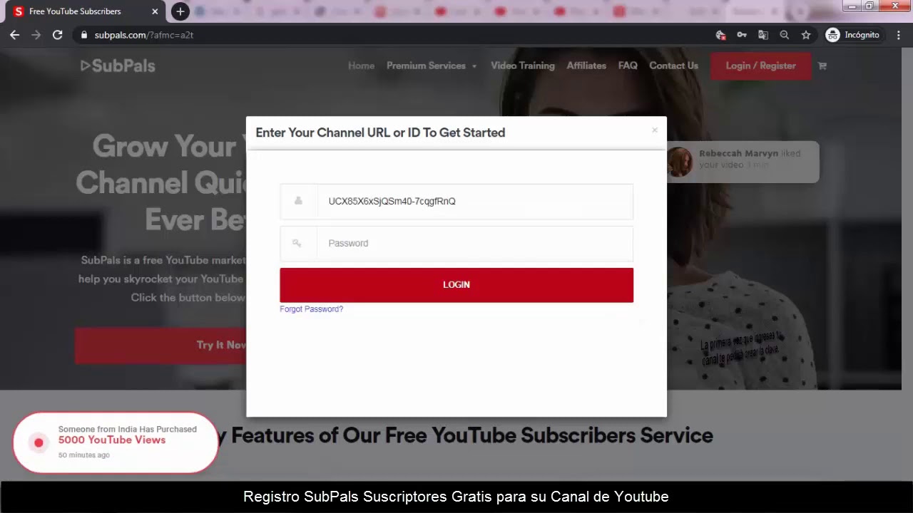 Registro Subpals suscriptores gratis en Youtube - YouTube