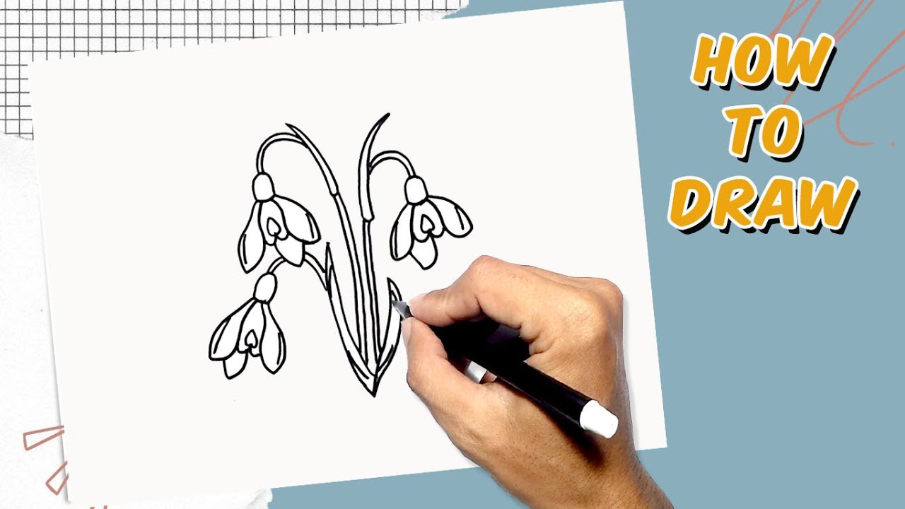 How to Draw Snowdrop Flower - YouTube