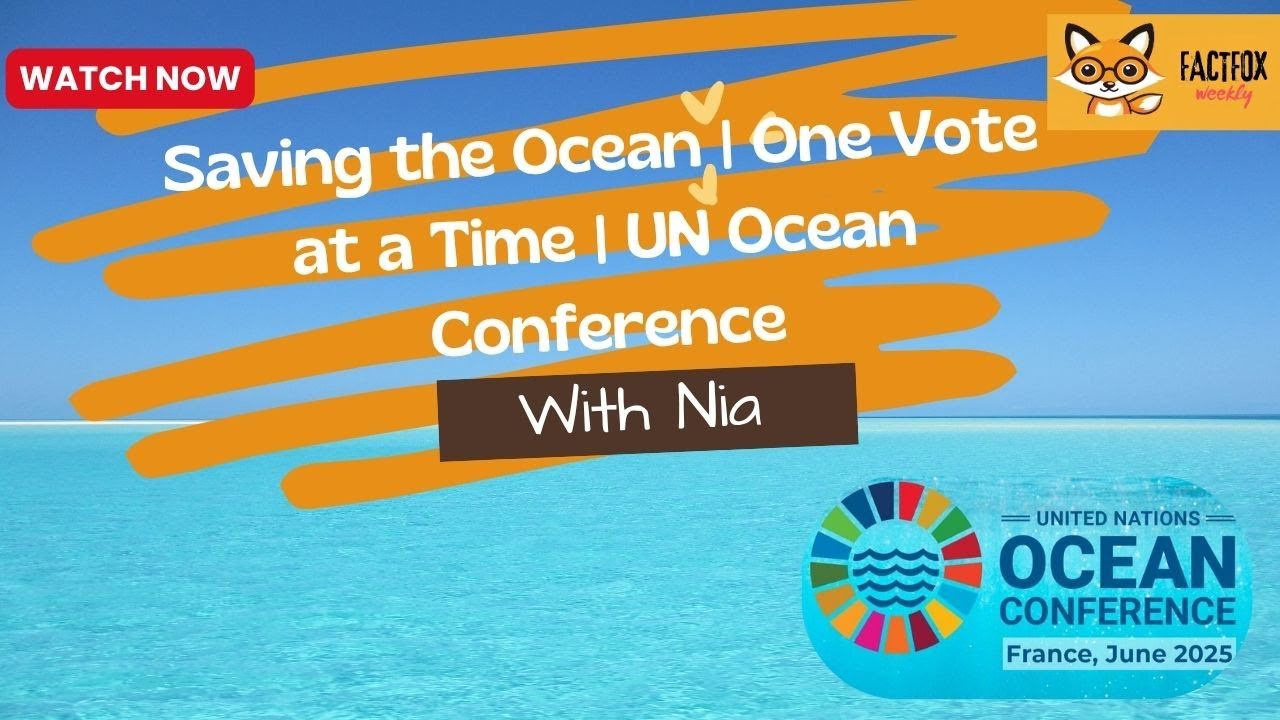 Top 5 Ocean Agendas from the UN Conference, Nice, France | Save the ...