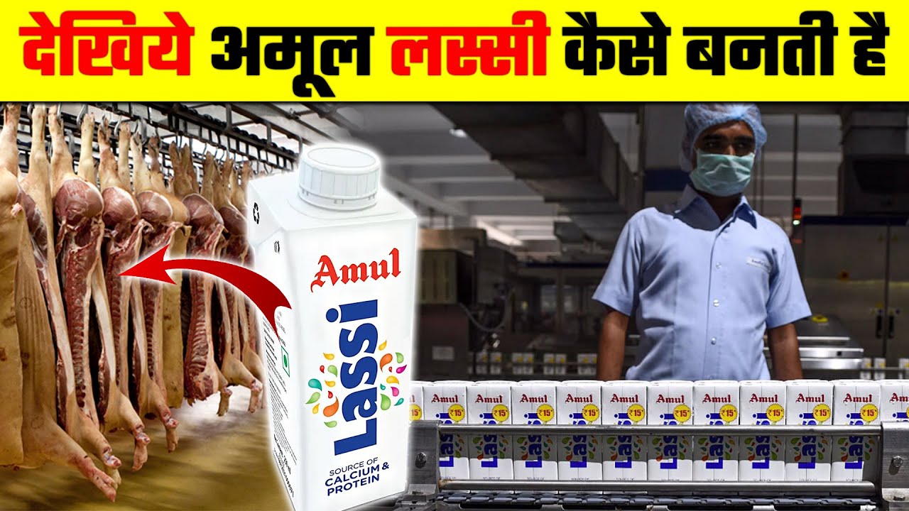 देखिये अमूल लस्सी कैसे बनती है ! Amul Lassi Kaise Banti hai ! How Amul ...