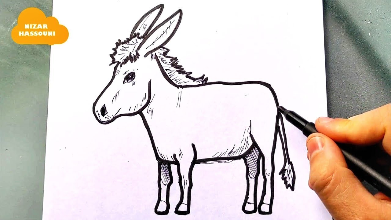 Comment dessiner un âne facilement - YouTube