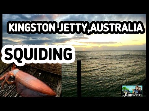 FISHING KINGSTON JETTY| SQUIDING SE AUSTRALIA - YouTube