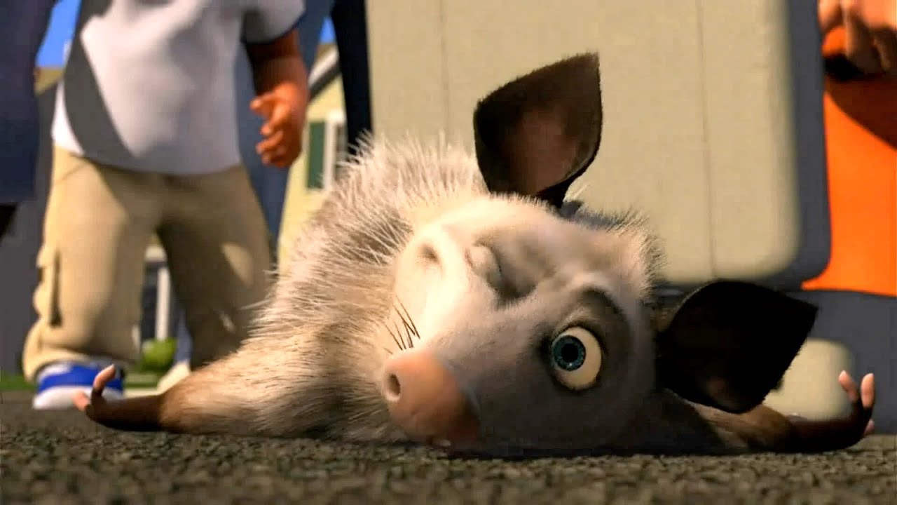 Over The Hedge: Ozzie (6) - YouTube