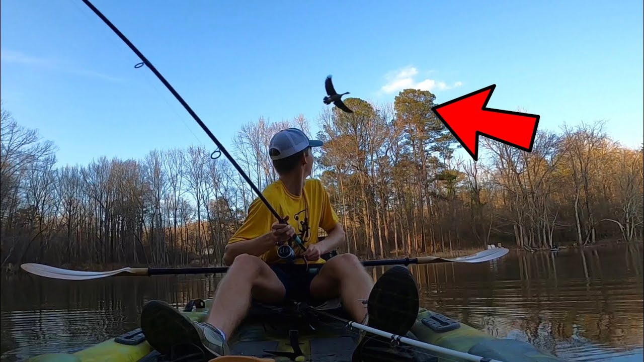 Catching Bass and getting CHASED by a Goose on Lake Lanier!! - YouTube