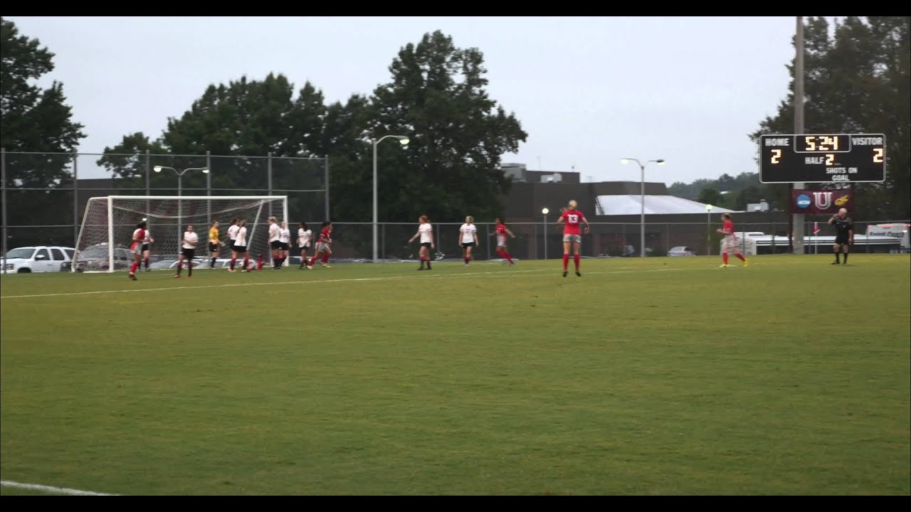Goal by Martin Methodist College vs Union University Women's Soccer ...