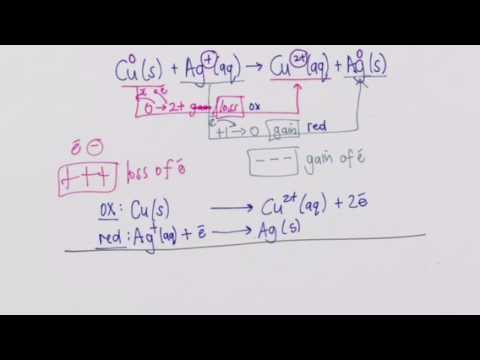 Redox Reactions - Grade 12 Revision - YouTube