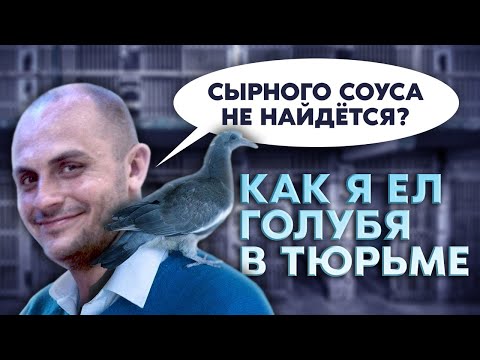 КАК ПРИГОТОВИТЬ ГОЛУБЯ НА СТРОГОМ РЕЖИМЕ