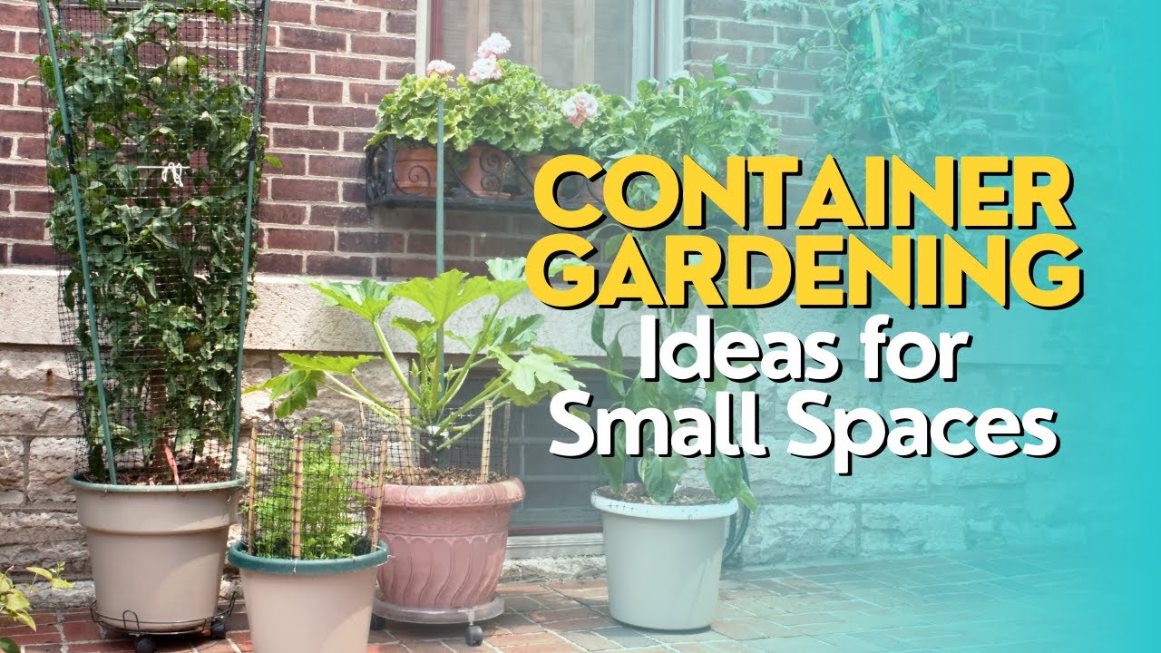 Container Gardening: Ideas for Small Spaces - YouTube