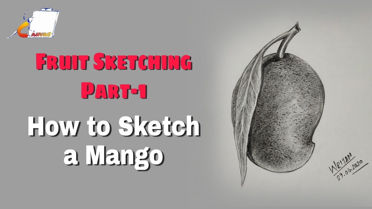 How to Draw a Mango, Fruit Sketching Part-1 - YouTube