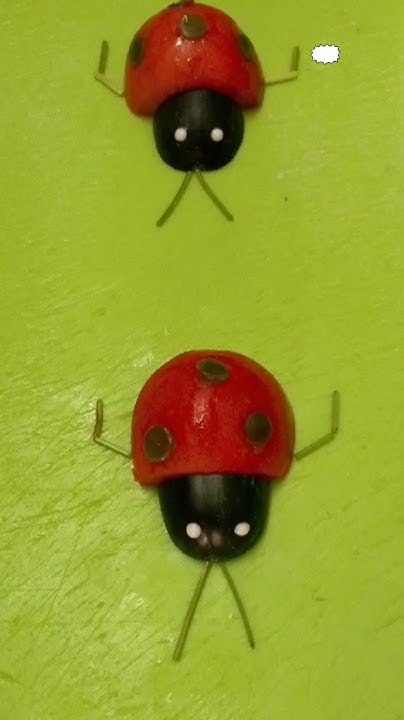 Tomato 🍅 Ladybug 🐞 carving for school competition #youtubeshorts # ...