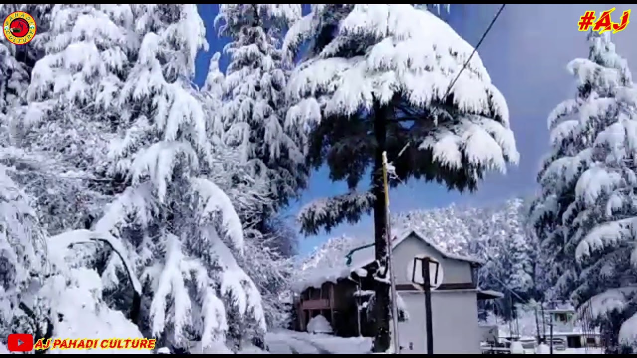 चकराता की खूबसूरत वादियां। Snowfall at Chakrata, Dehradun, Uttarakhand ...