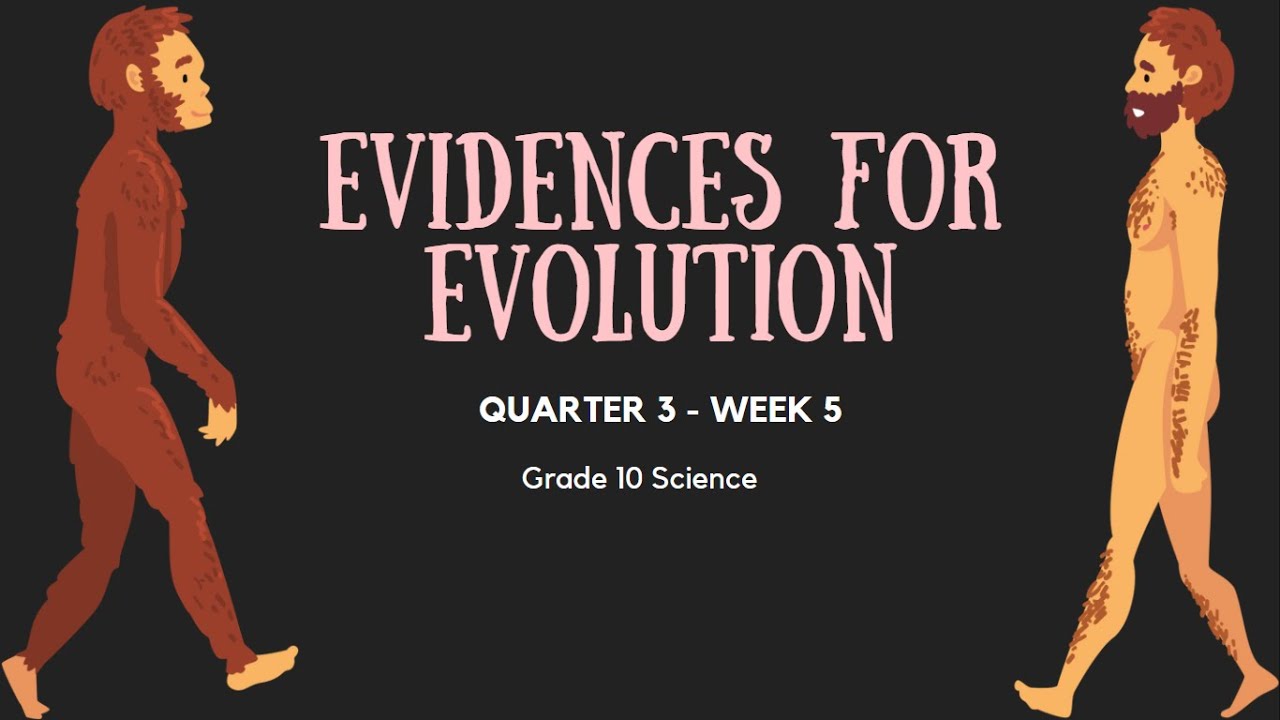 Grade 10 Science | Quarter 3 | Week 5 | Evidences of Evolution - YouTube